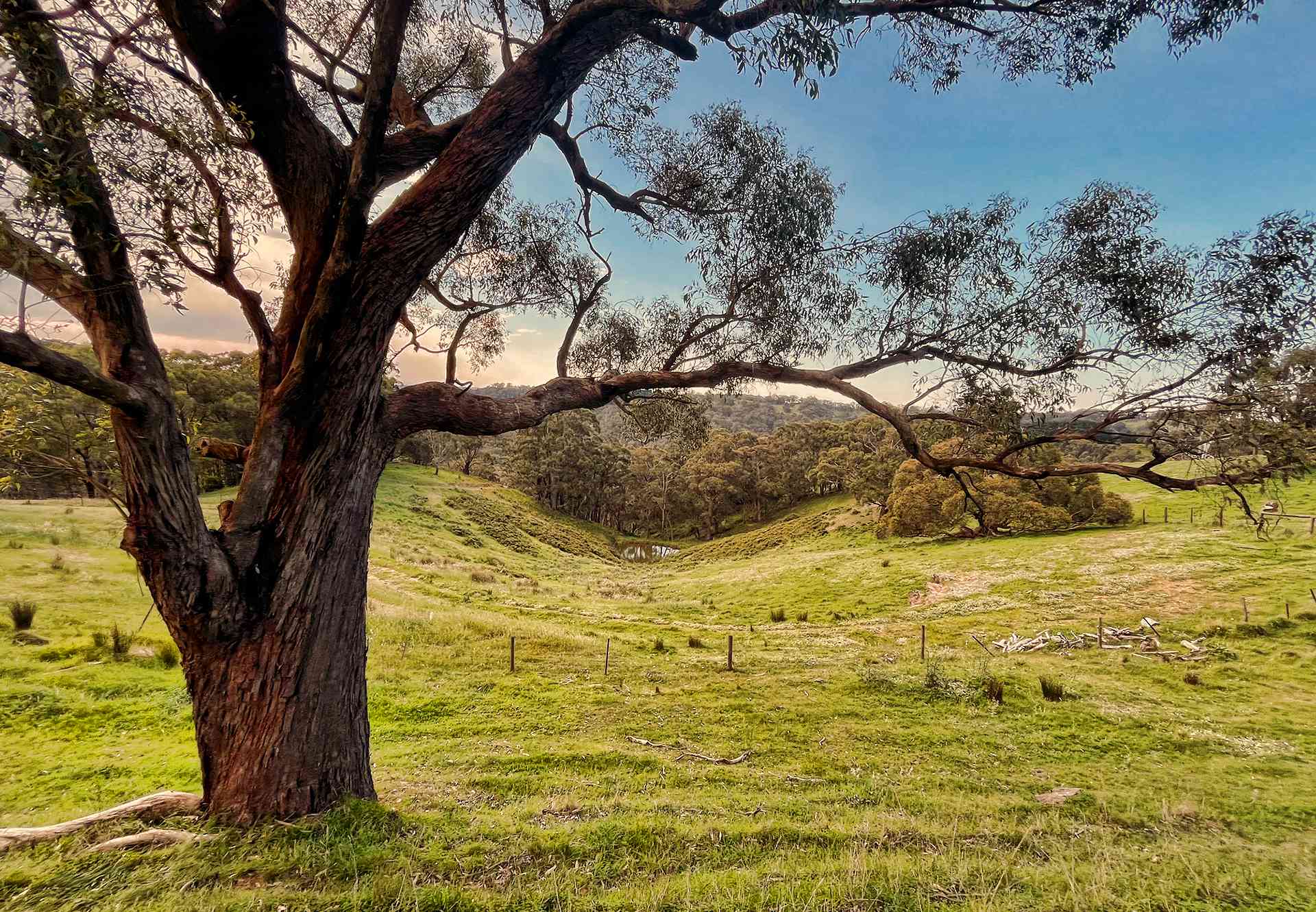 High View Farm - www.lovehopecommunity.com